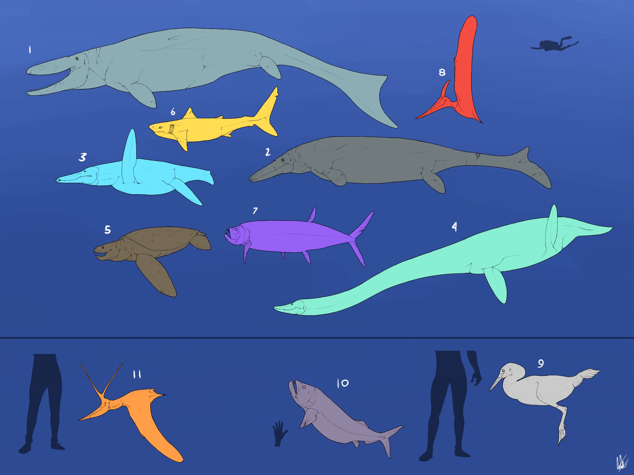 Elasmosaurus Vs Mosasaurus Mosasaurus, Pliosaurus, And Predator X: