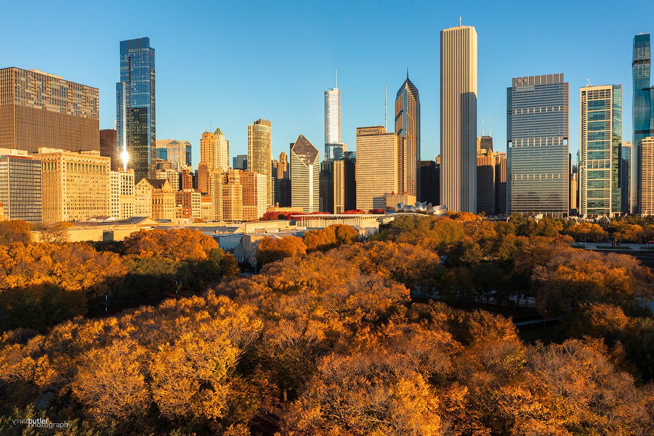Autumn In Chicago Background