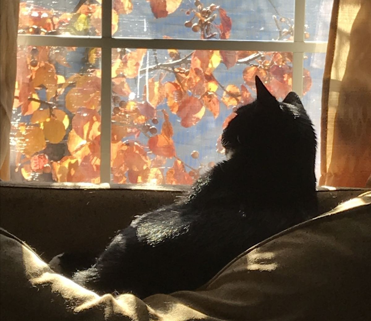 Dan Golov (@golov_dan) | Twitter