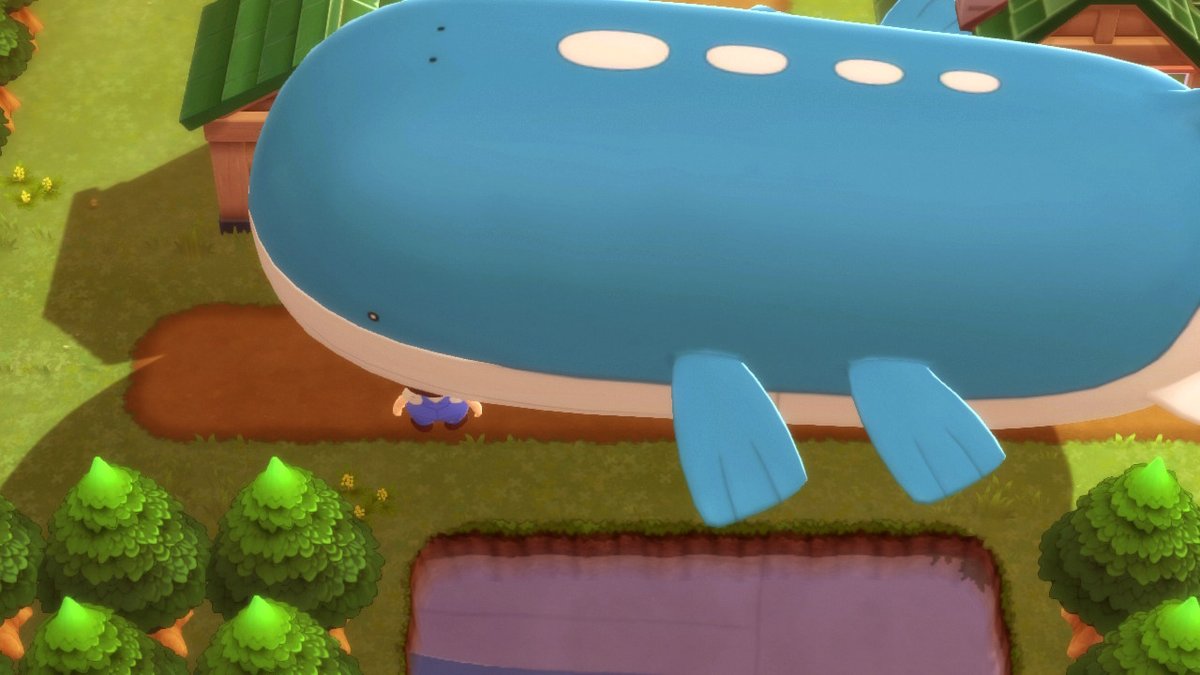 Wailord Pokemon Size