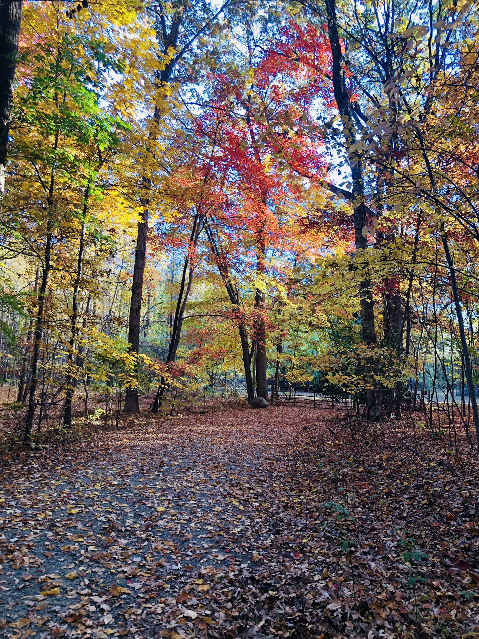 Beautiful Fall Weather