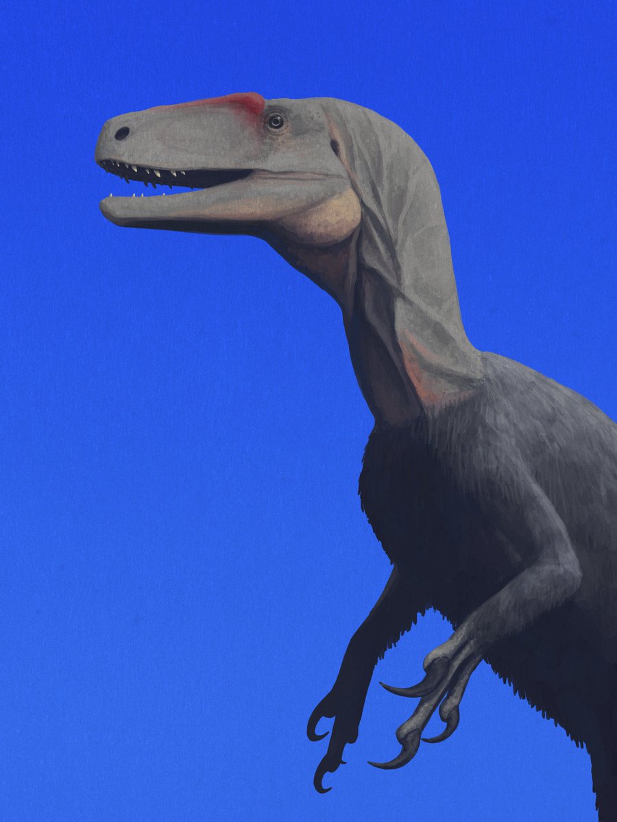 Guanlong Dinosaur Revolution
