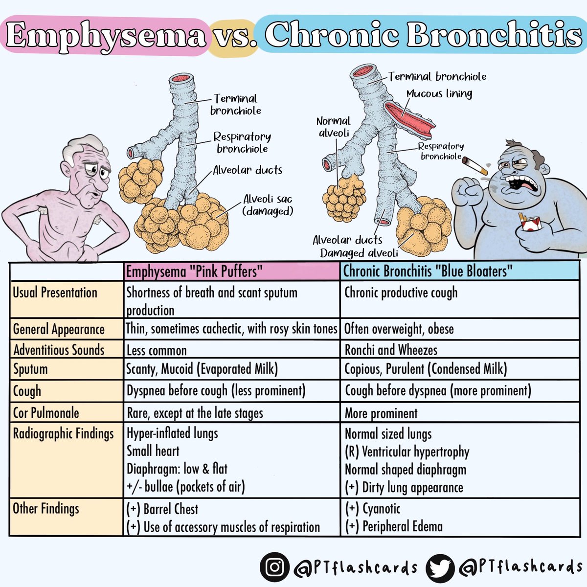 Bronchitis Sputum