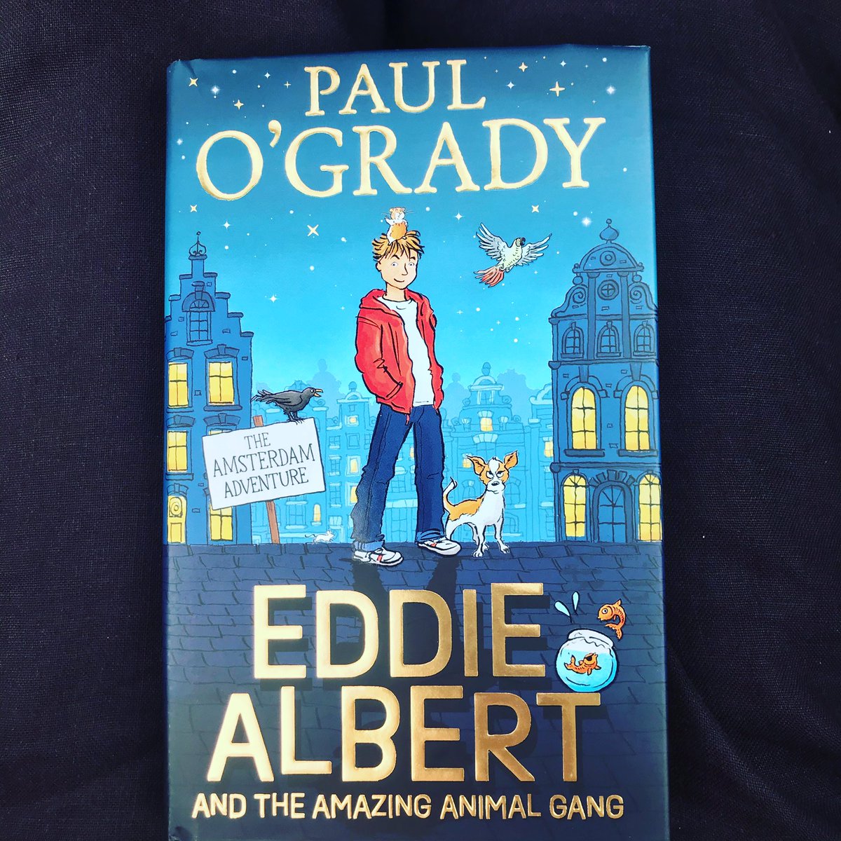 Twitter book reviews for kids - passlengineer