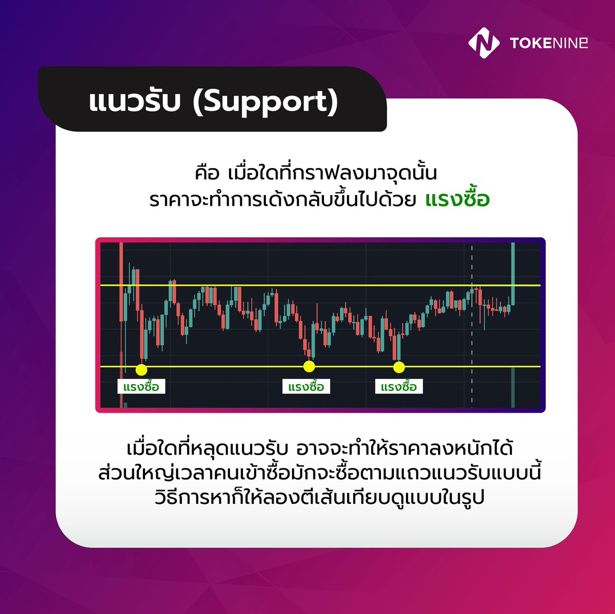 Tokenine Thailand (@Tokenineth) | Twitter