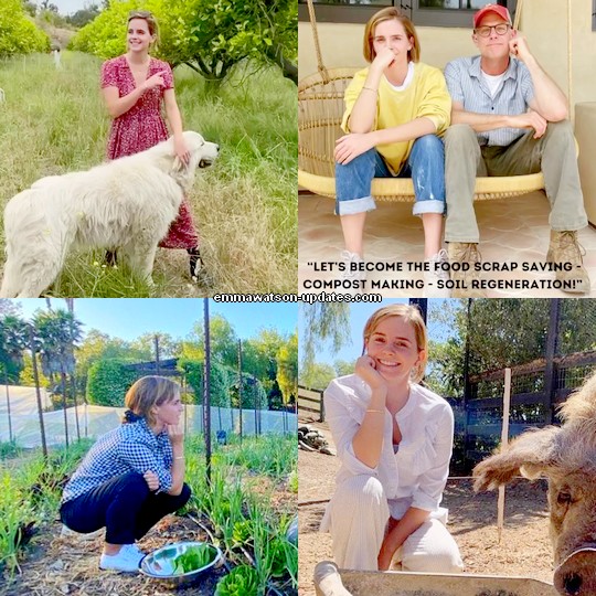 Does Emma Watson Like Dogs