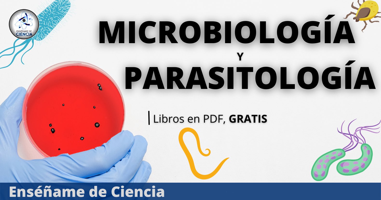 Enséñame de Ciencia on Twitter: Enséñame de Ciencia on Twitter: