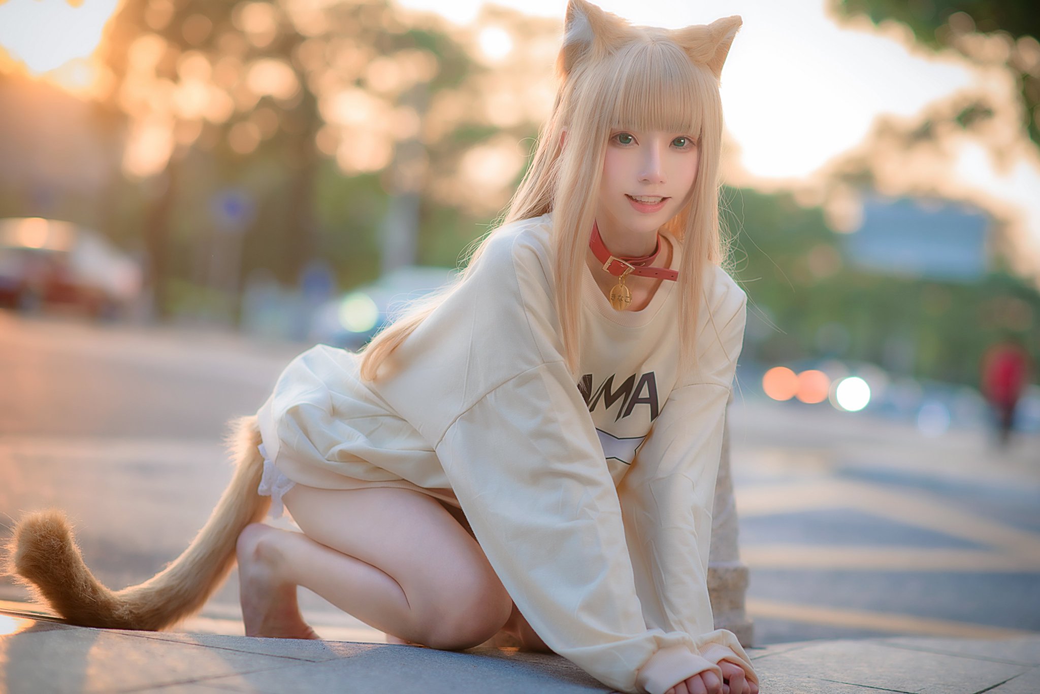 歌罢海西流 on Twitter: "cosplay漫展场照 黄豆粉 出镜：琦太郎 （@kitaro_cos） 摄影：本人 #cosplay #黄豆粉 #拟人 #猫耳 https://t.co ...