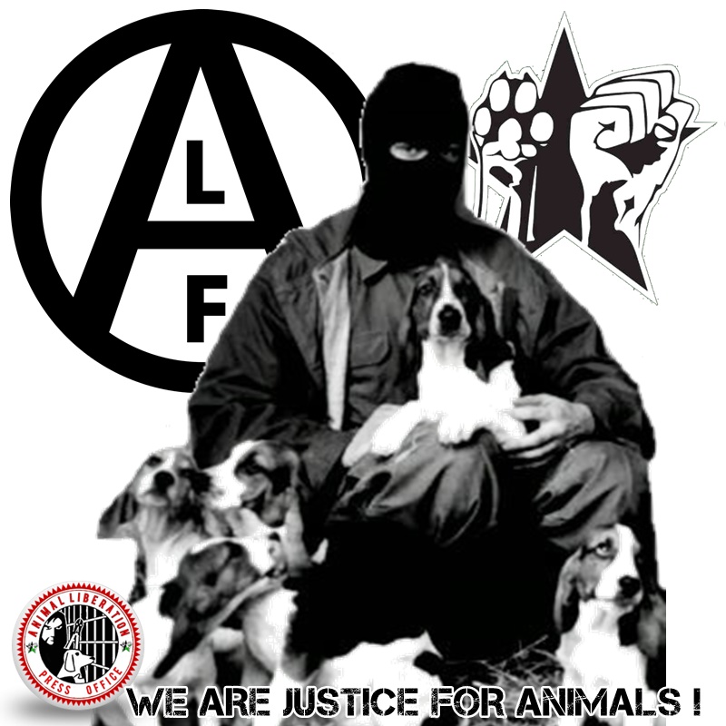 How to join animal liberation front - tercon