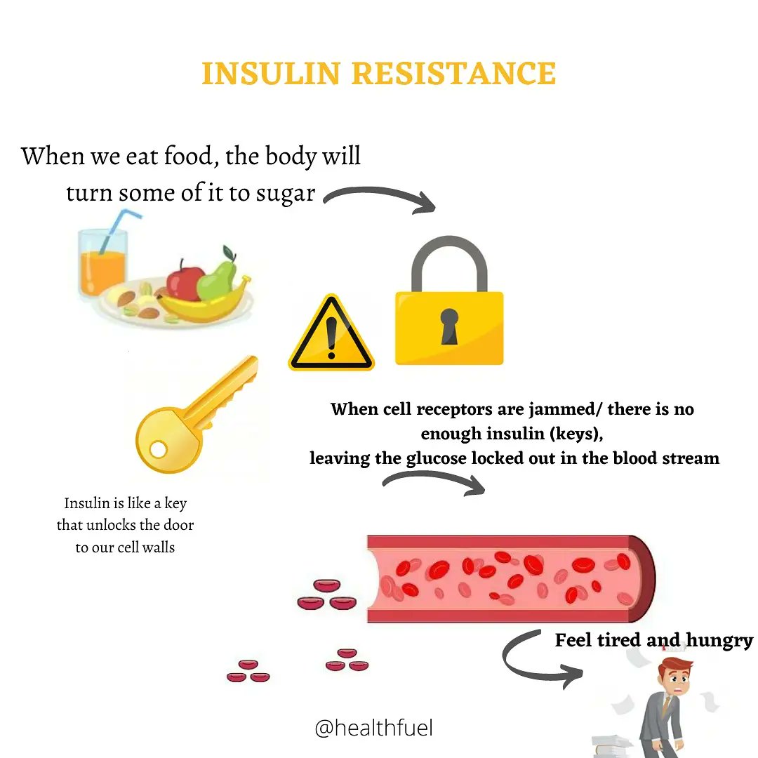INSULIN RESISTANCE! It’s something you may have heard about in relation ...