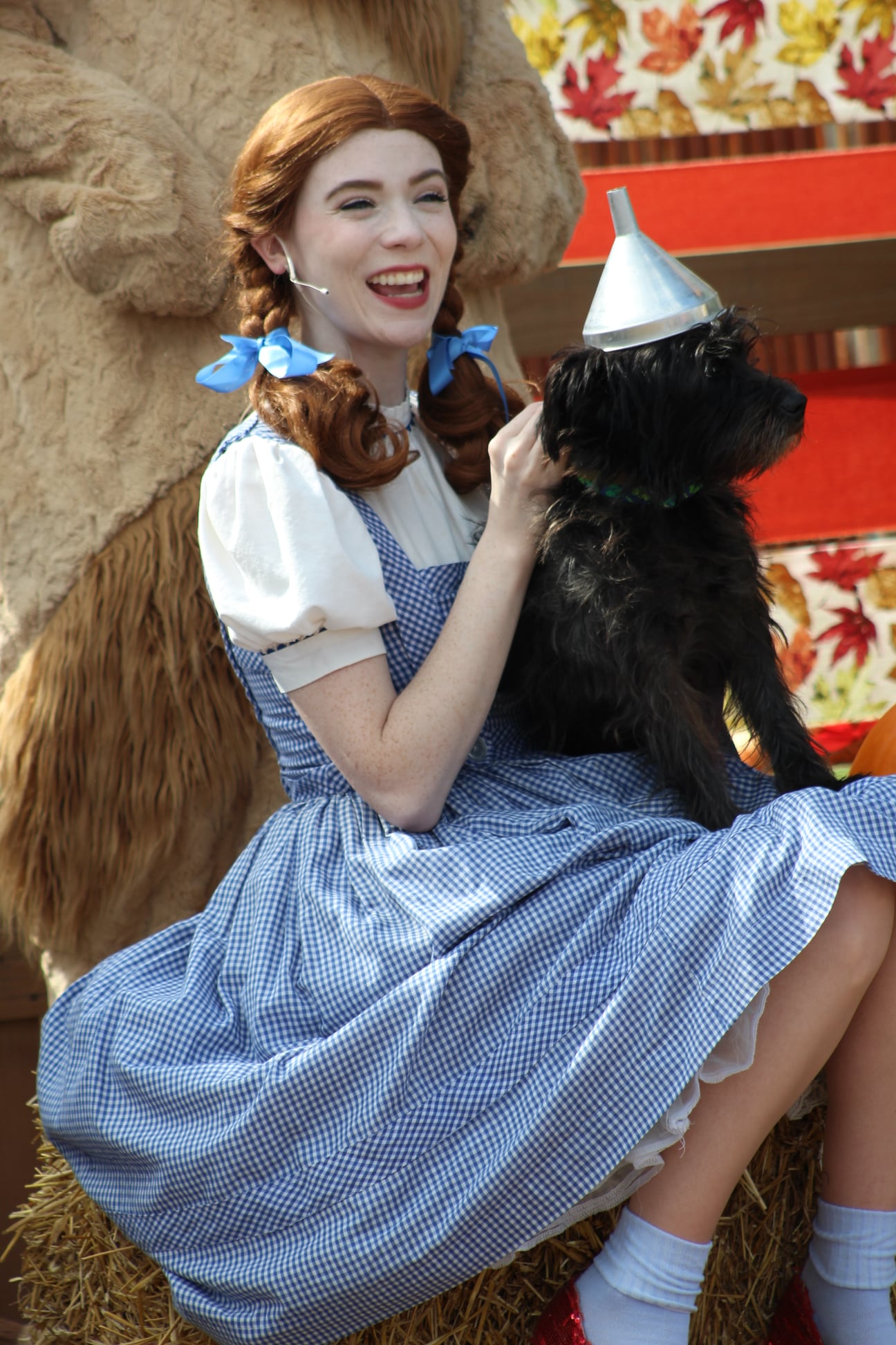 Toto Wizard Of Oz Costume