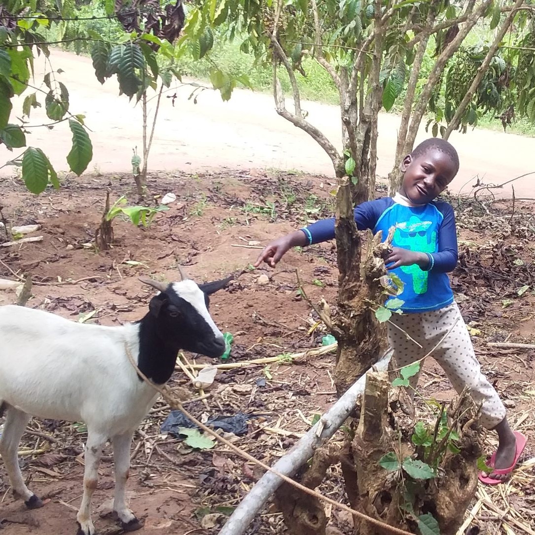 Uganda Goats Gift