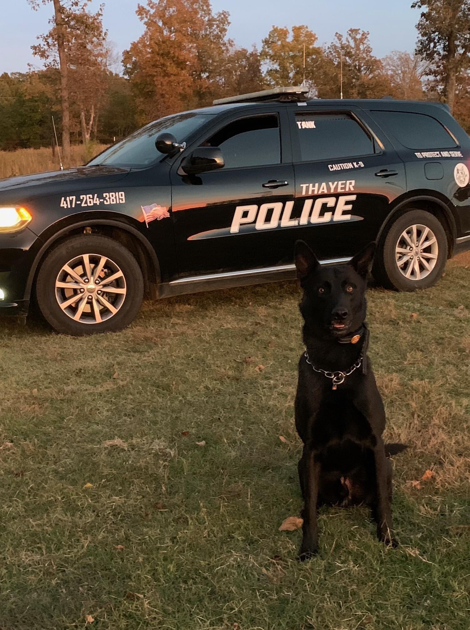 How Does A Police Dog Alert