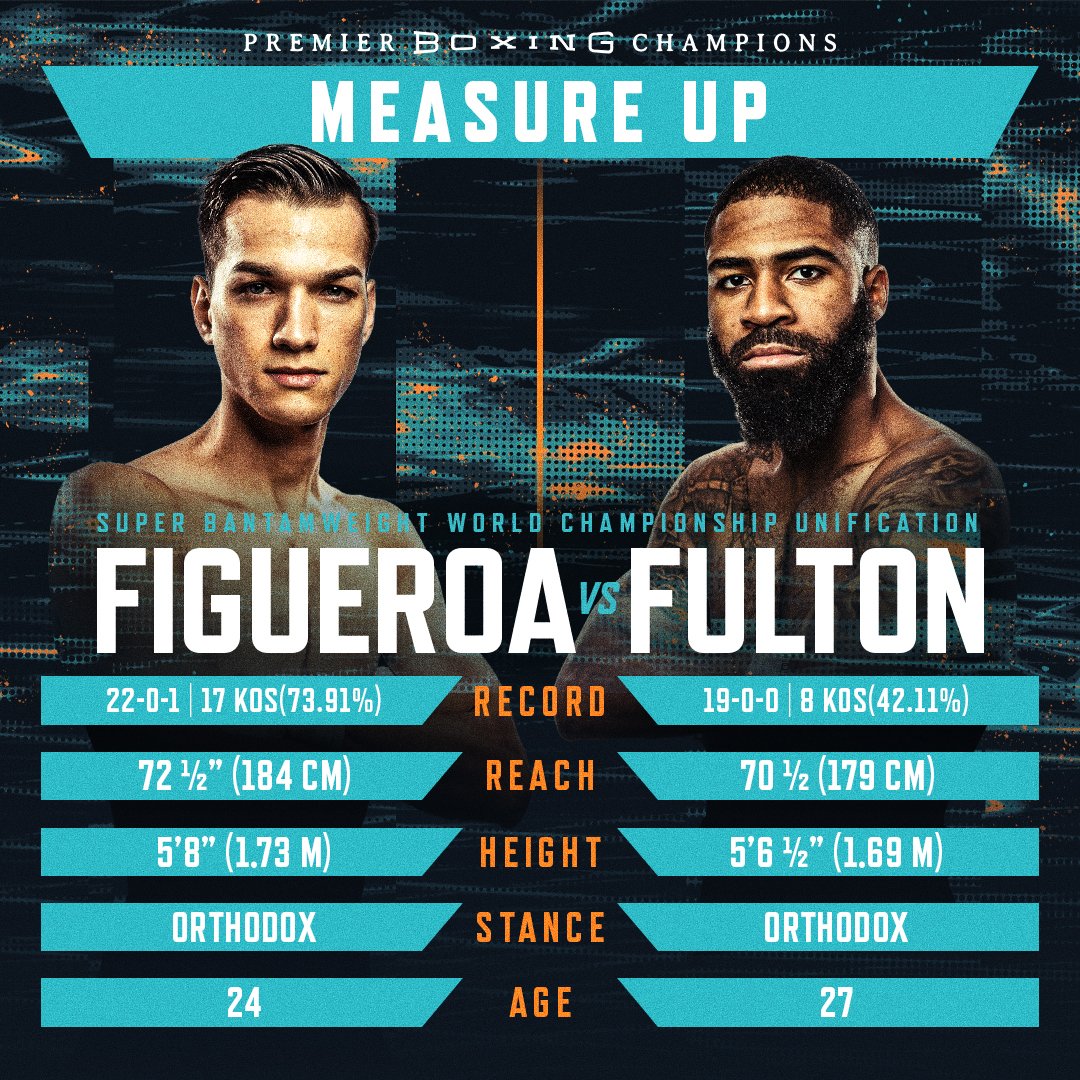 Ufc 179 Poster