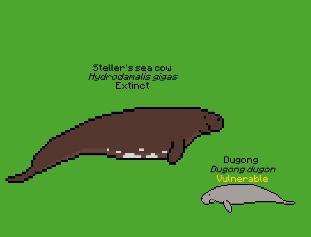 Sea Cow Memes SEA COW FACTS!! #factsyoudidntknow #facts | TikTok
