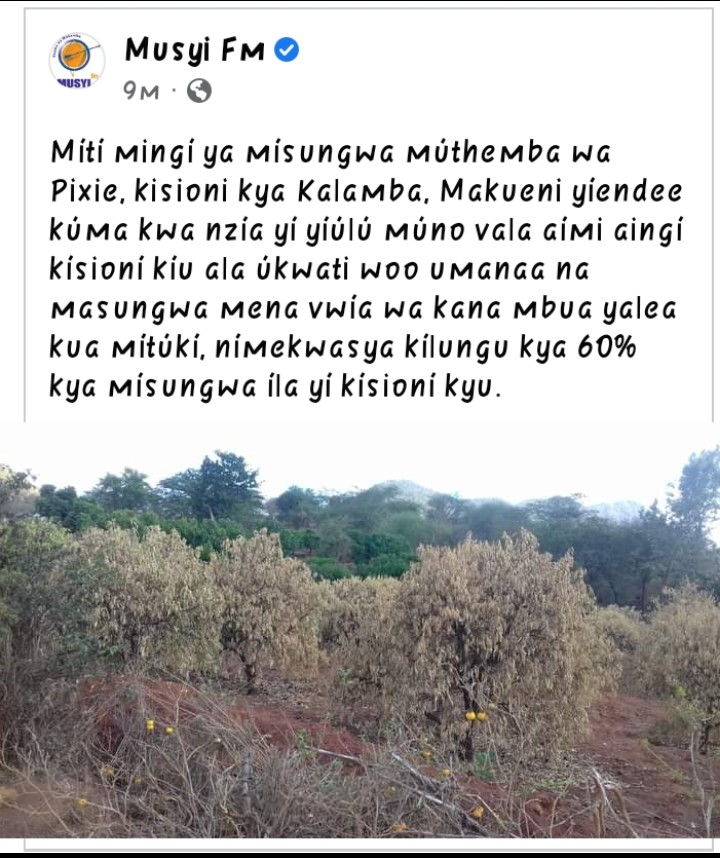 Ann mbithe (@Annmbithe8) | Twitter