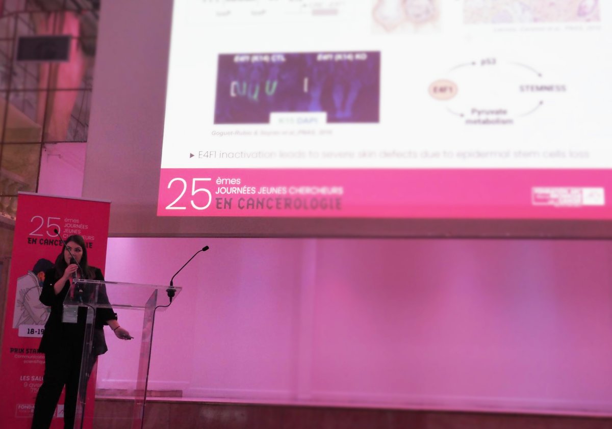 Fondation ARC on Twitter: "Mélanie Rousseau travaille, dans l'équipe de Laurent Le Cam @IRCM_MTP ...