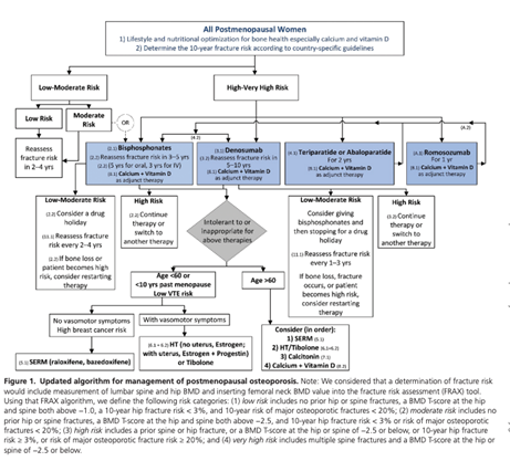 Osteoporosis Treatment Guidelines
