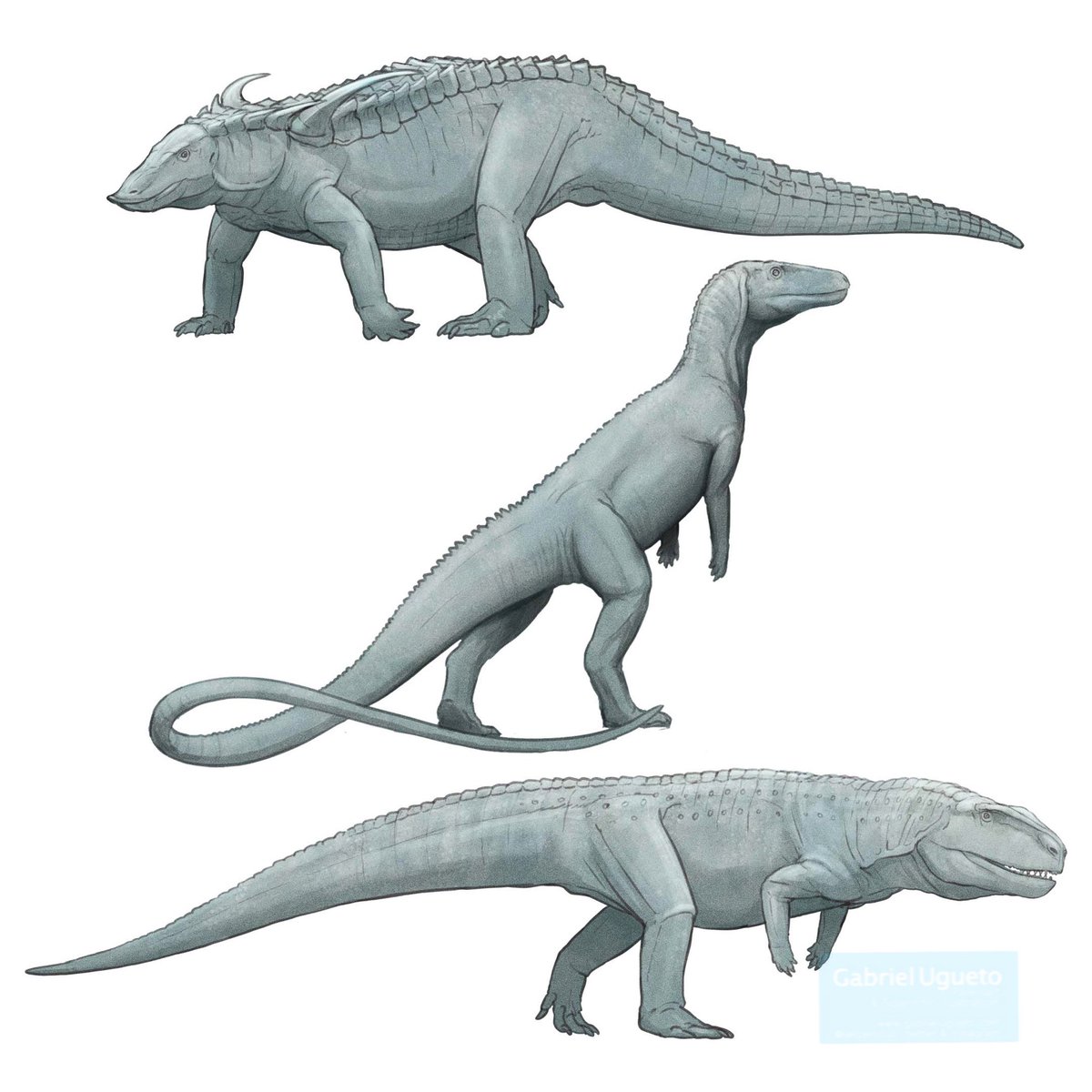 Desmatosuchus Vs Postosuchus