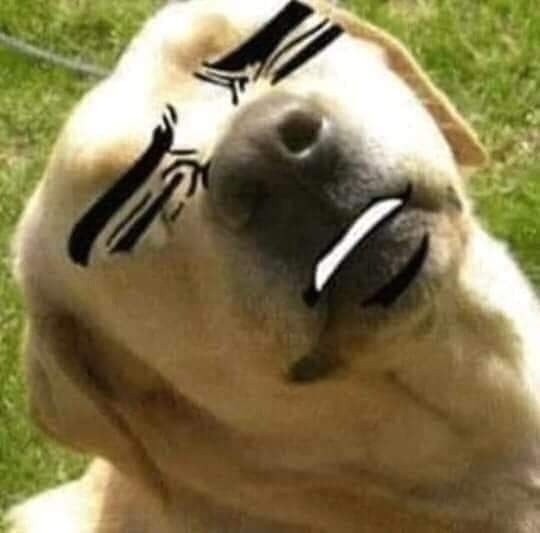 The Phantom Editor on Twitter: