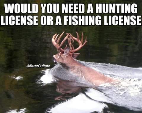 Funny Hunting Memes