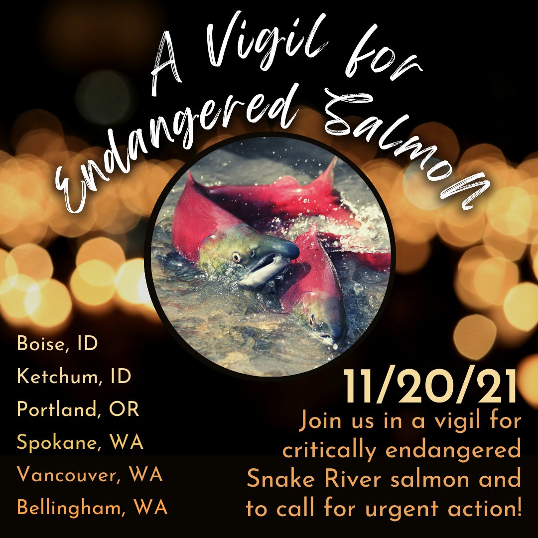 Claire Vaage (VO-geh) 🇳🇴 (@VaageFisheries) | Twitter