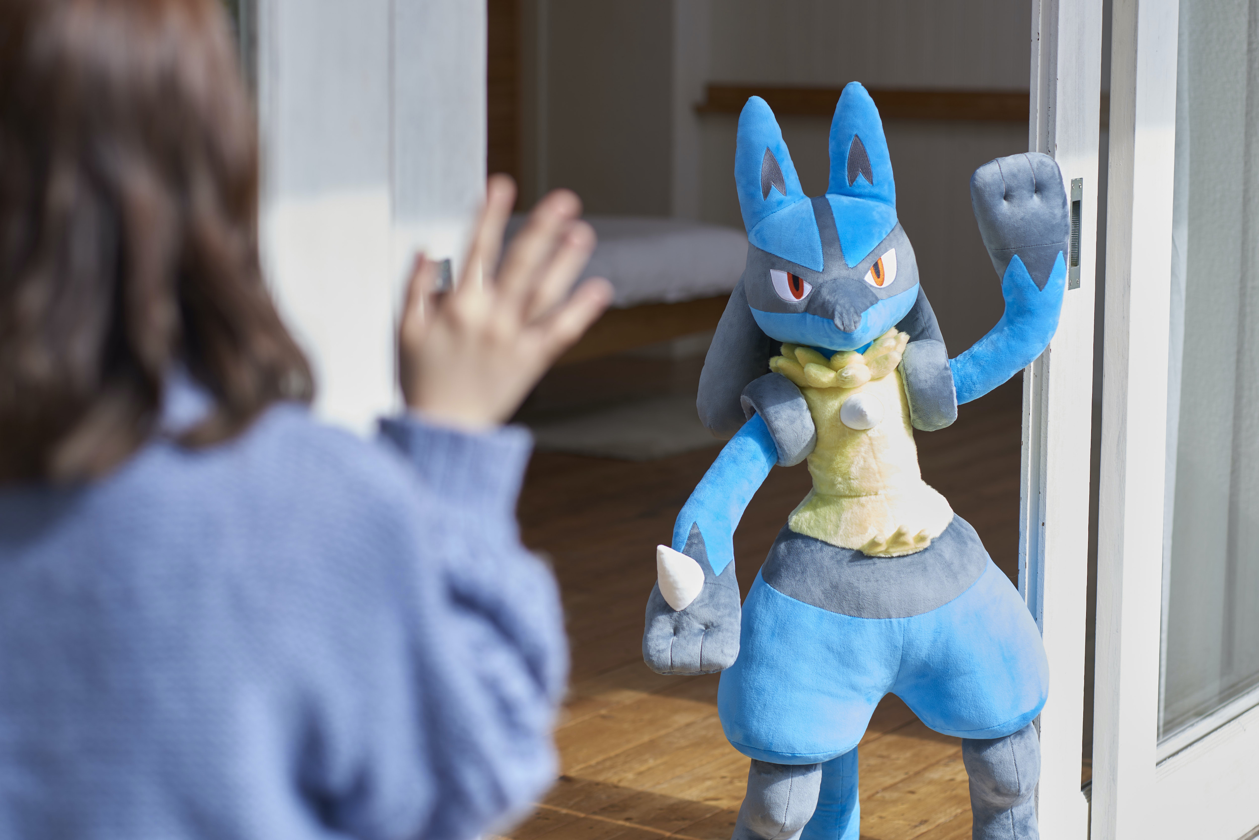 ポケモンだいすきクラブ編集部【公式】 on X: ポケモンだいすきクラブ編集部【公式】 on X:
