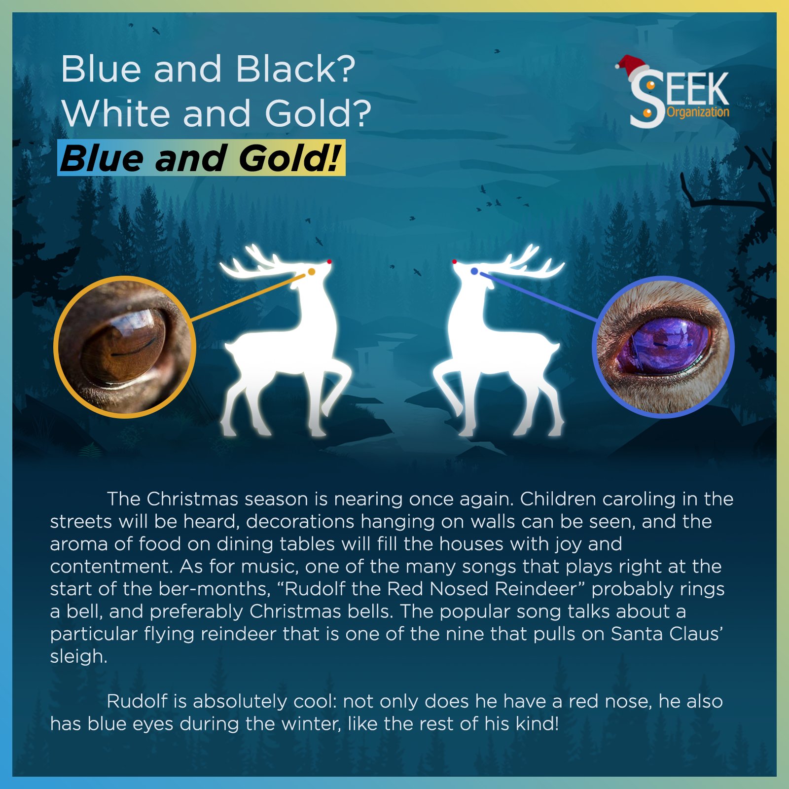 Arctic Reindeer Eyes