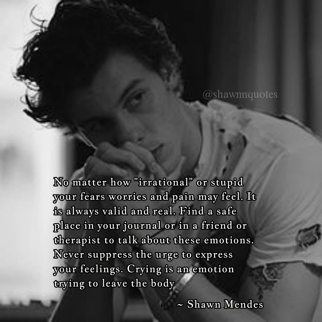 Shawn Mendes Song Quotes
