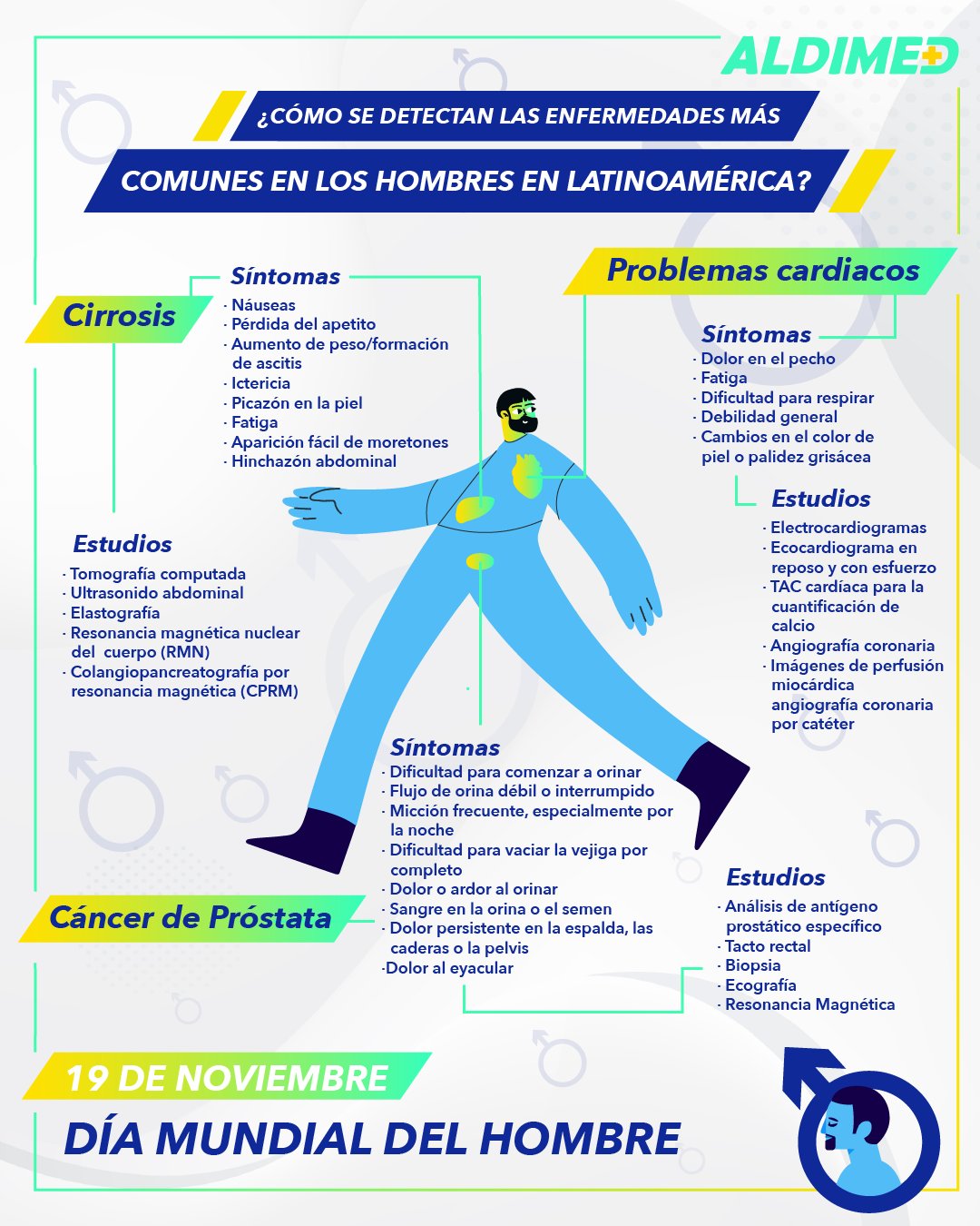 Raíz Libro De Bolsillo Combustible Cuales Son Las Enfermedades Mas