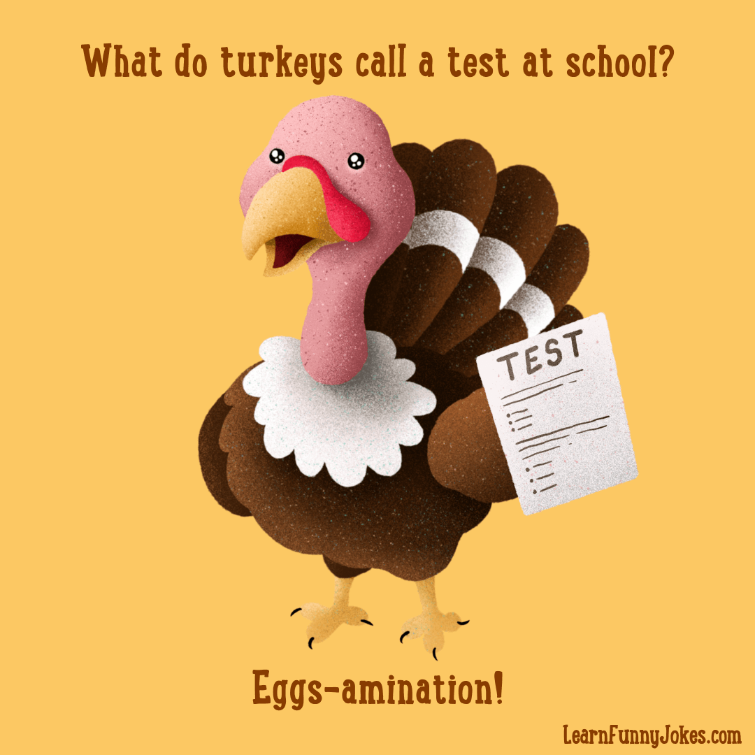 Funny Jokes About School Tests