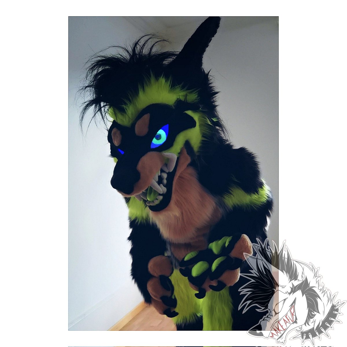 drake (@Drake_wolf_) | Twitter