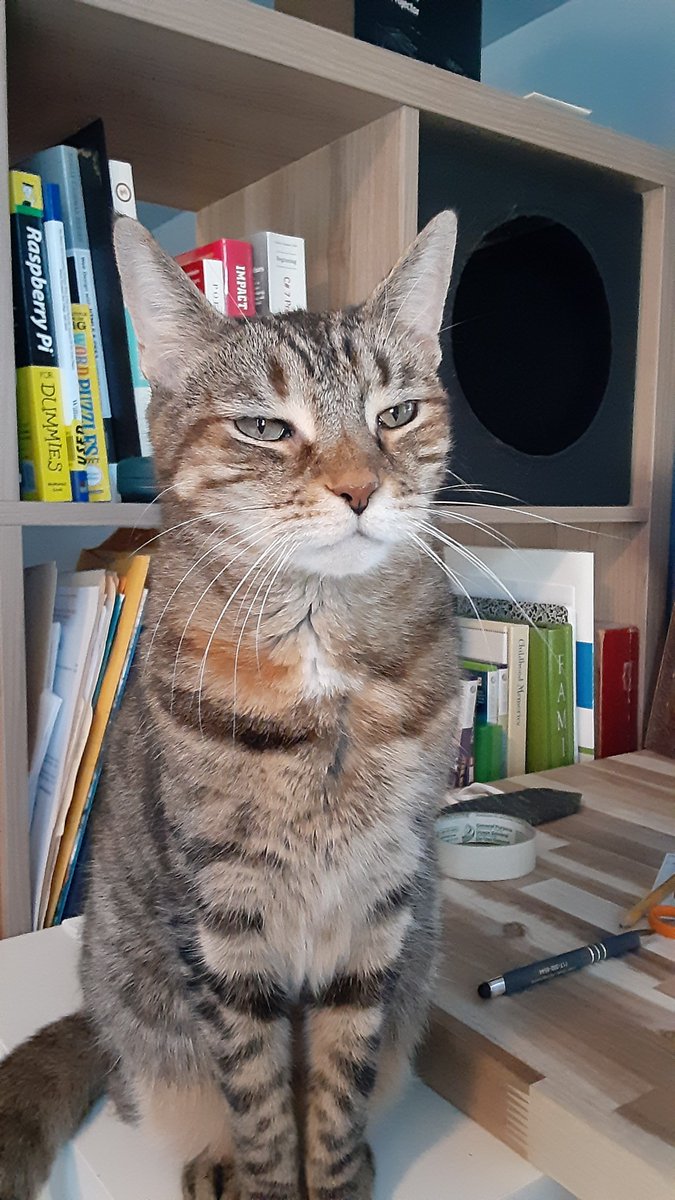 Jaden Baptista (@jadenguitarman) | Twitter