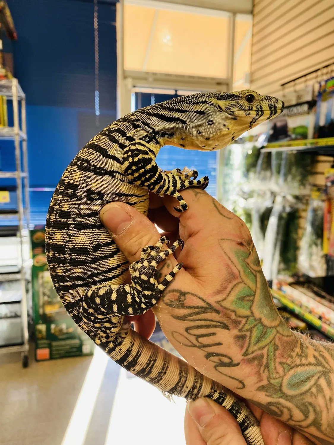Baby Lace Monitor