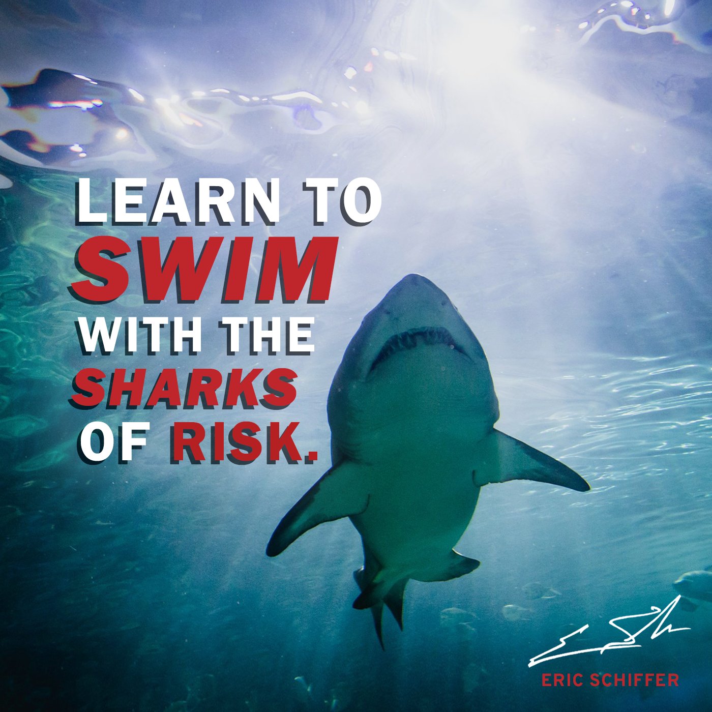 Eric Schiffer (@ericschiffer) / Twitter