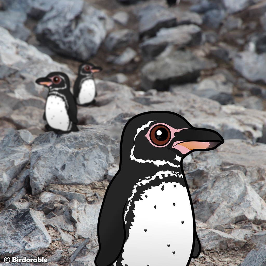 Desalentar Noticias Monopolio cola pinguino Vamos Descodificar Mal uso