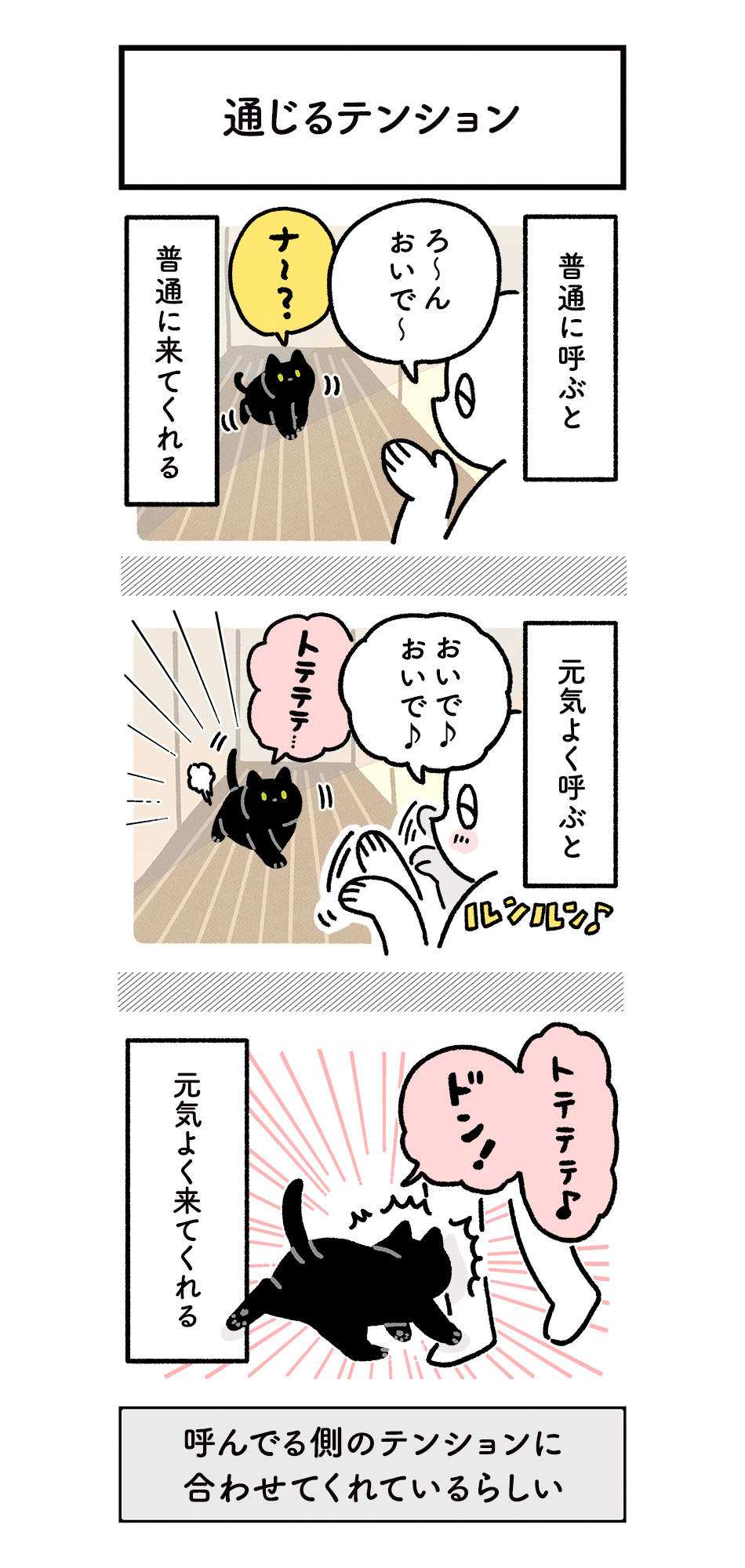 AKR@4巻でました on Twitter: "普通に呼ぶとトコトコ歩いて来てくれるけど、元気よく呼ぶと小走りでテンション高く来てくれて、こっそり呼ぶとコソコソ静かに来てくれるねこの絵日記 ...