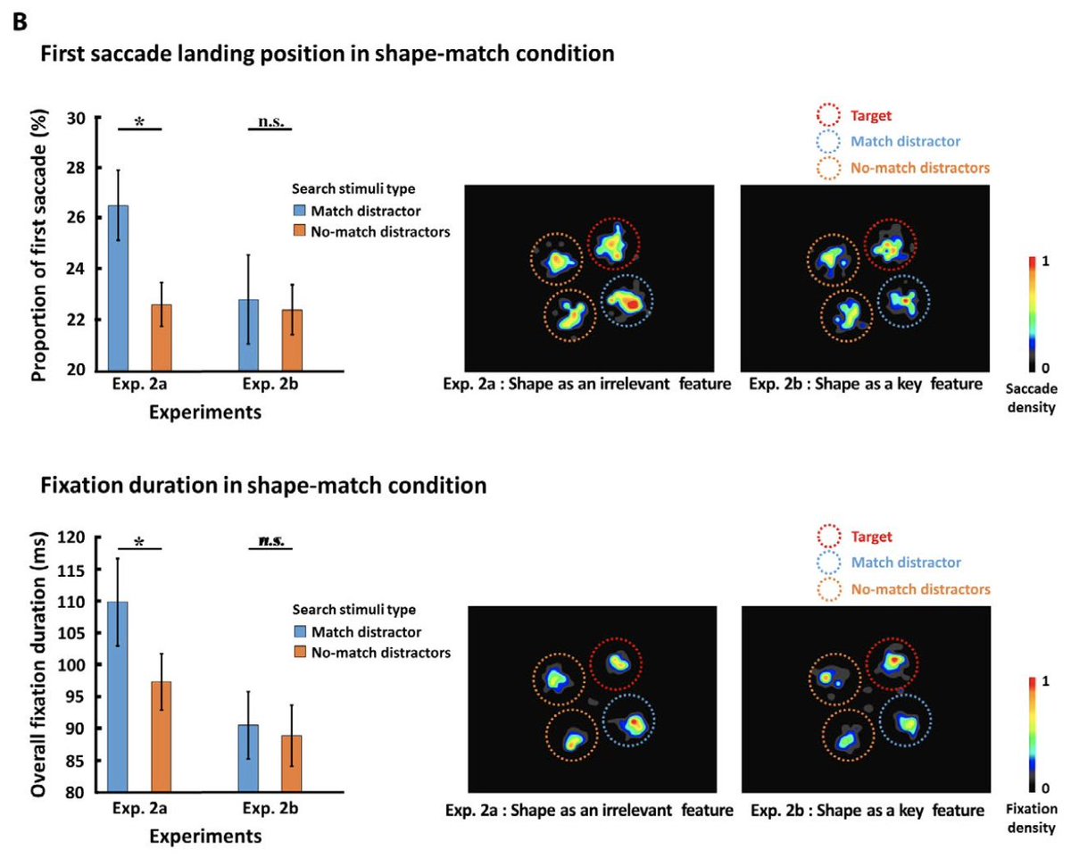 Dongwei Li (@dwLi_Neuro) | Twitter