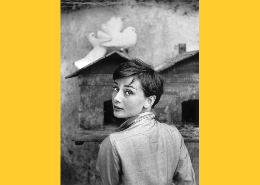 Portraits of Audrey Hepburn, Alfred Hitchcock and Salvador Dalí taken ...
