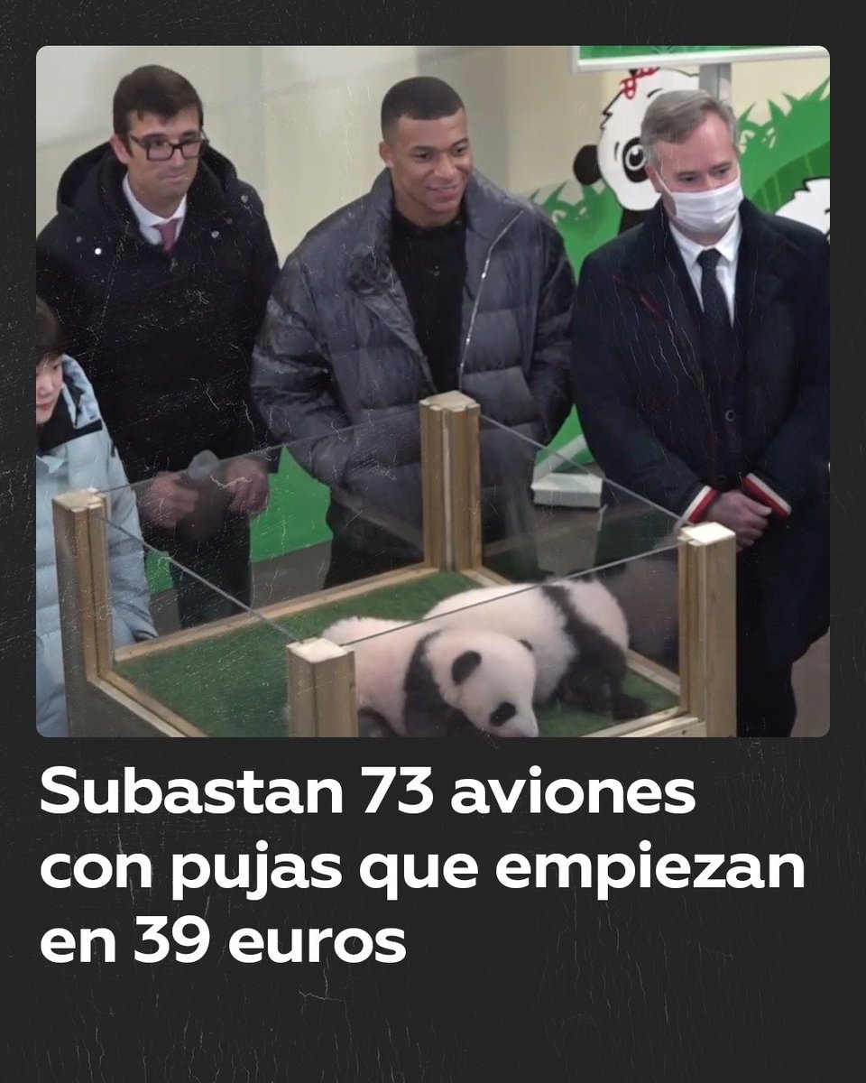 Mbappe apadrina a una cría de panda en un zoo francés La estrella del ...