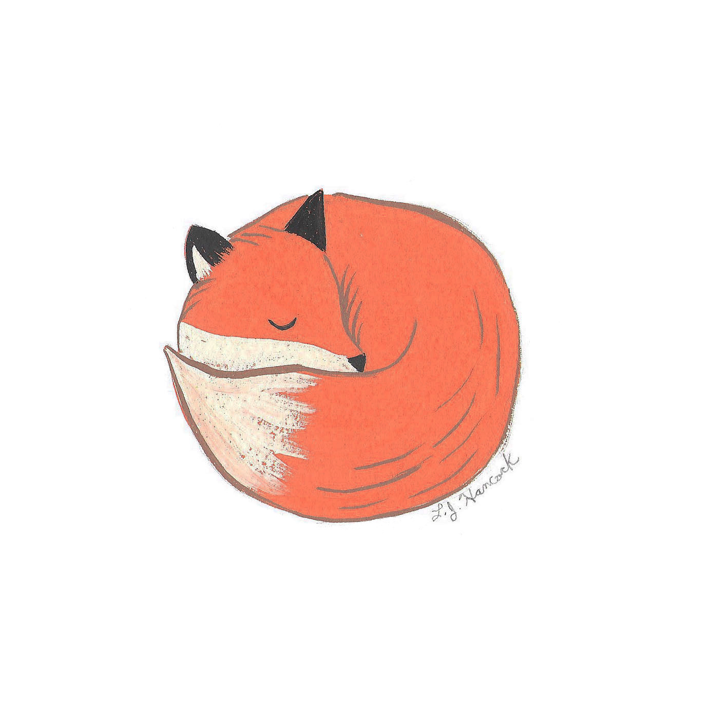 Sleeping Fox Drawing