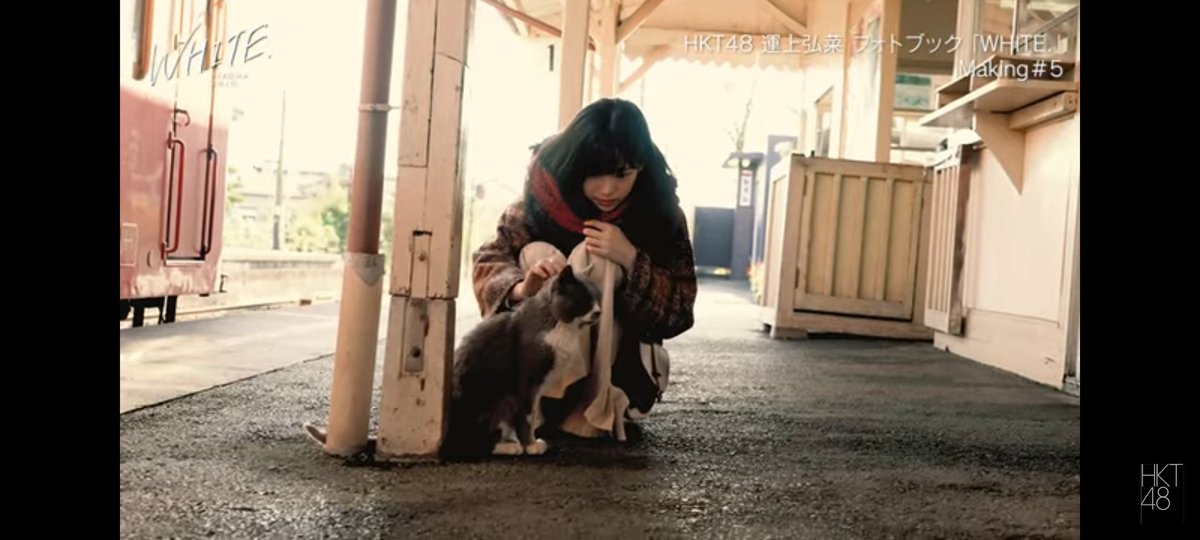 いっちー@あしゅらー(仮) (@8104F_HKTaki) | Twitter