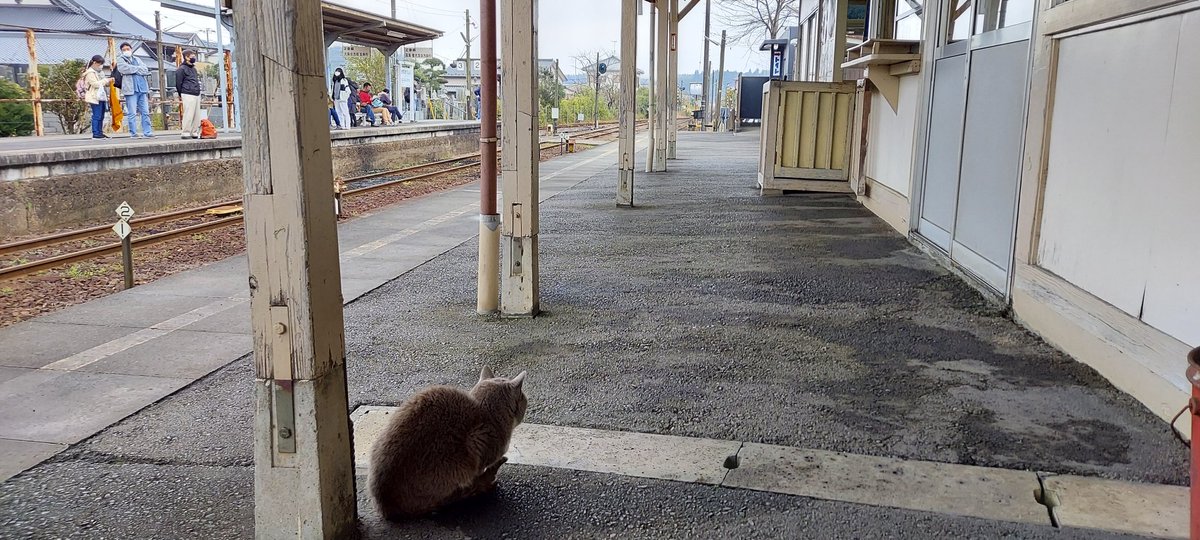 いっちー@あしゅらー(仮) (@8104F_HKTaki) | Twitter