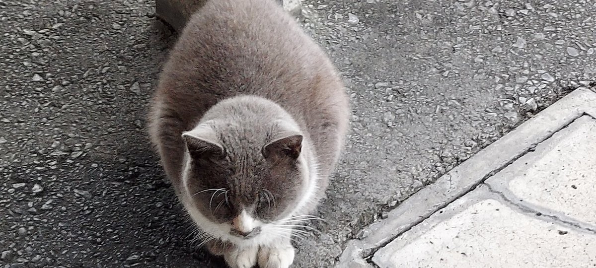 いっちー@あしゅらー(仮) (@8104F_HKTaki) | Twitter