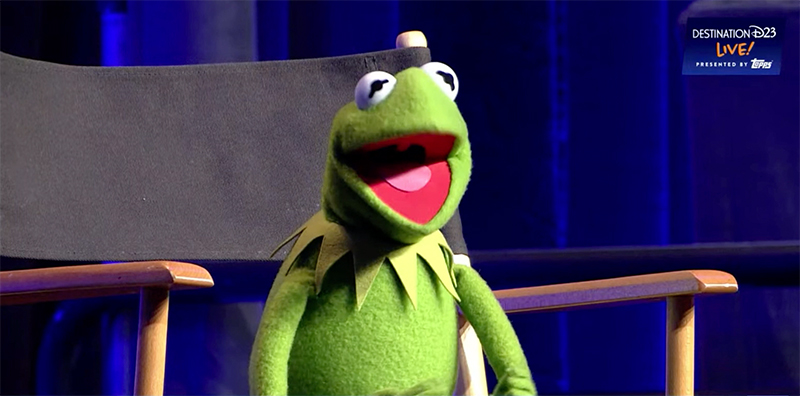 Muppets Kermit Face