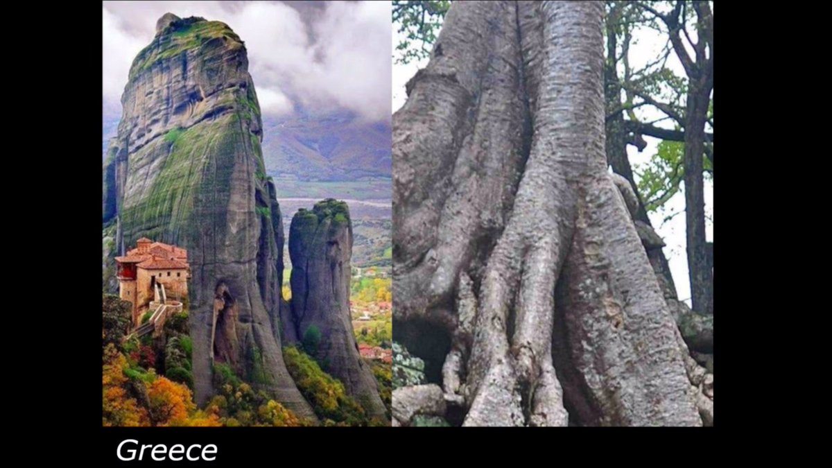 Im very happy to see someone finally do a thread on giant trees ...