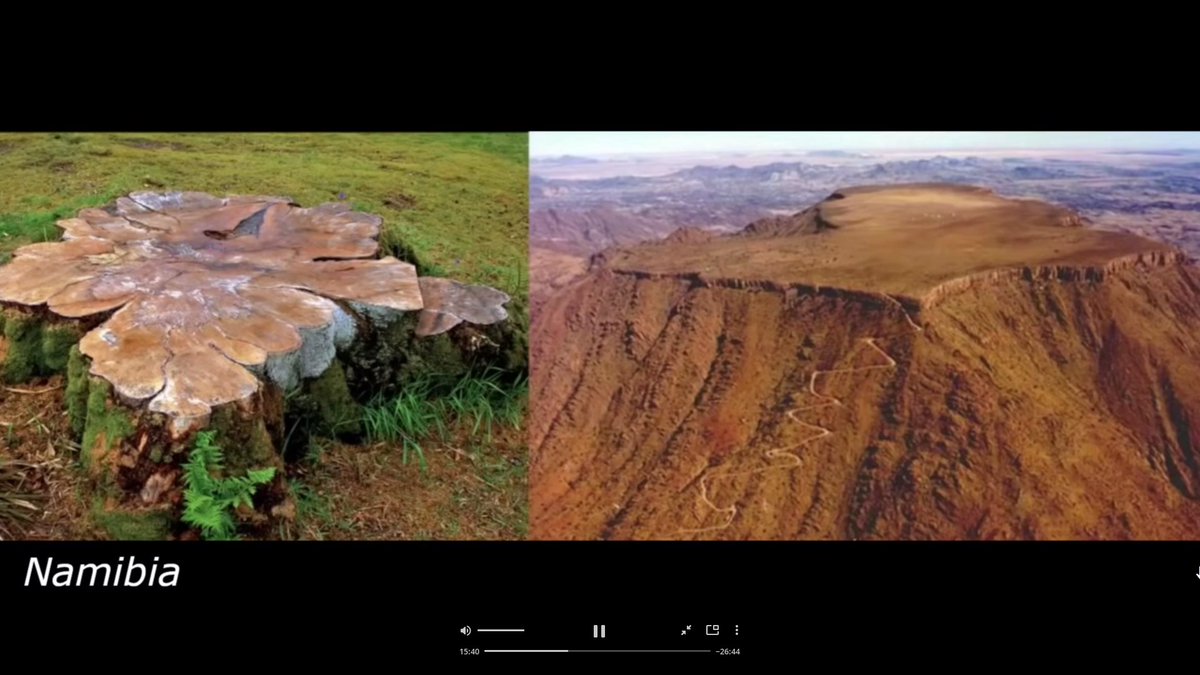 Im very happy to see someone finally do a thread on giant trees ...