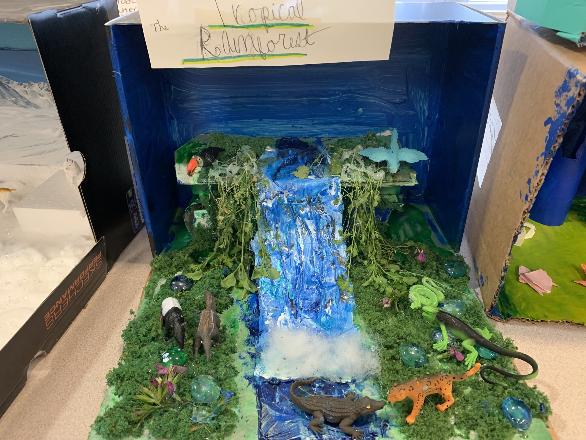 Temperate Forest Biome Project