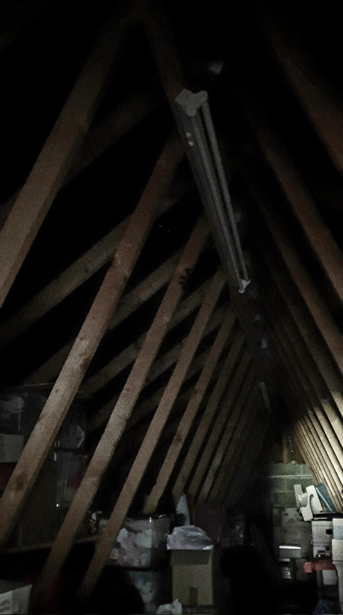 Dark Attic
