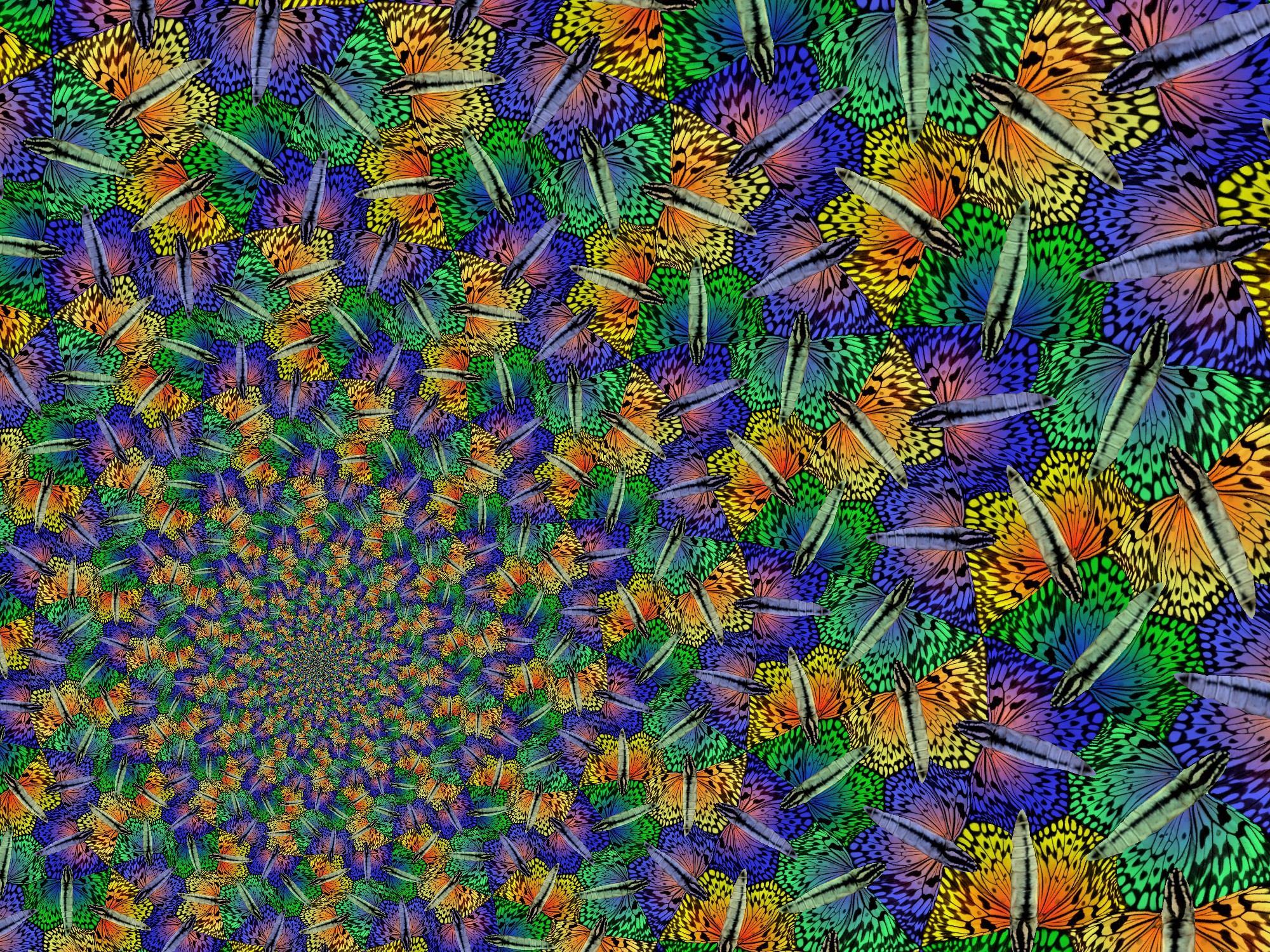 Butterfly Tessellations